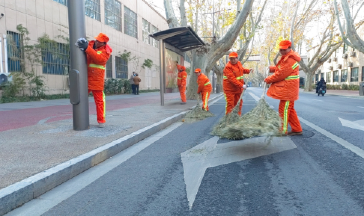 节后全城“大清洁”，郑州金水城管收心聚力“靓”家园-大河新闻